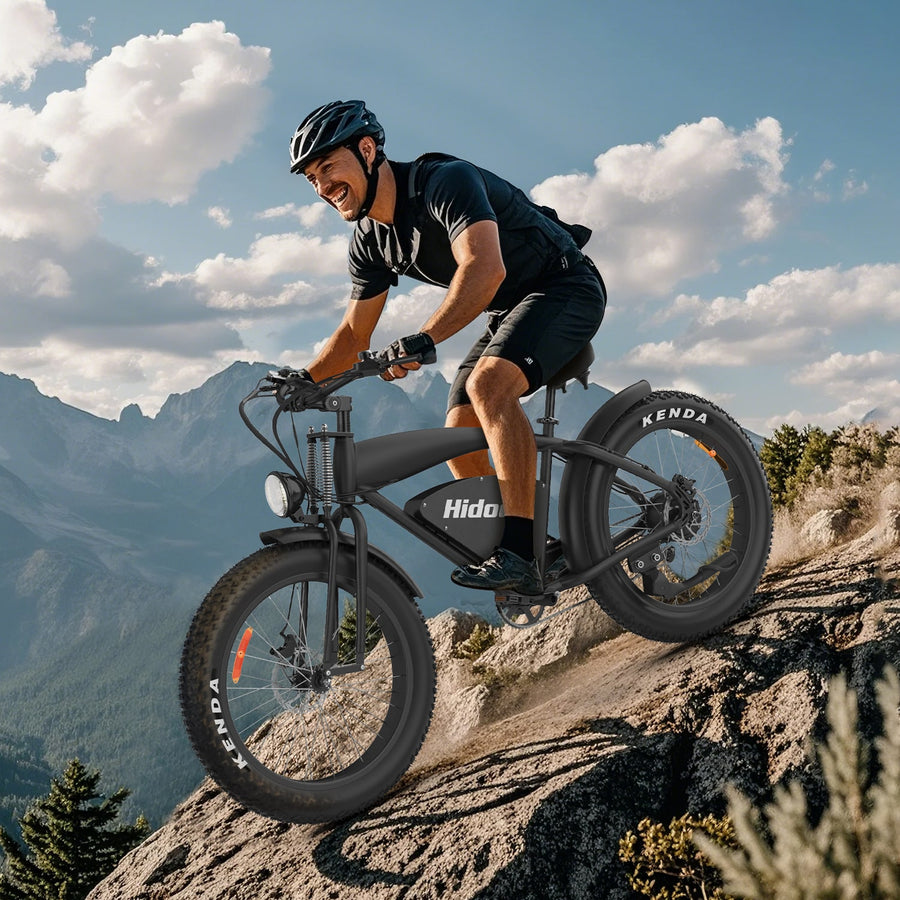 Hidoes B3 Fat Tire Electric Bike | 1200W Electric Mountain Bike – iENYRID