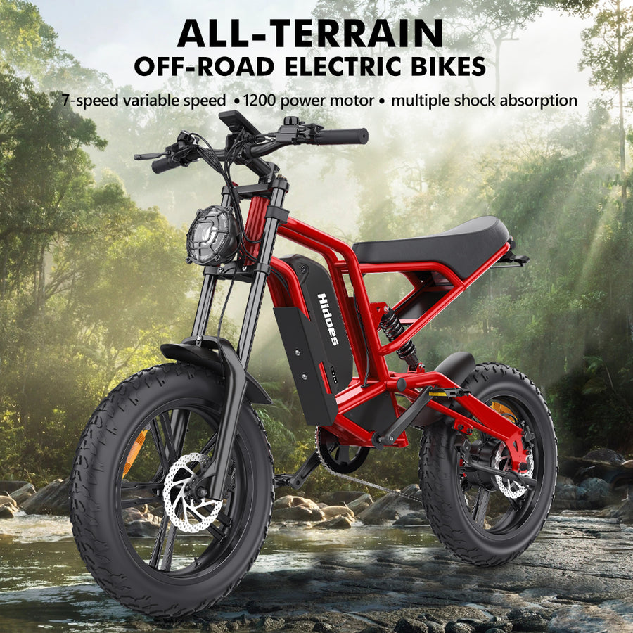 Hidoes B6 1200W Fat Tire E Bike – Long Range & Comfort