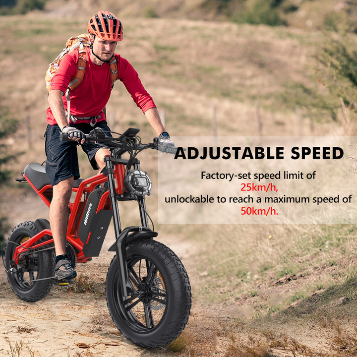 Hidoes B6 1200W Fat Tire E Bike – Long Range & Comfort